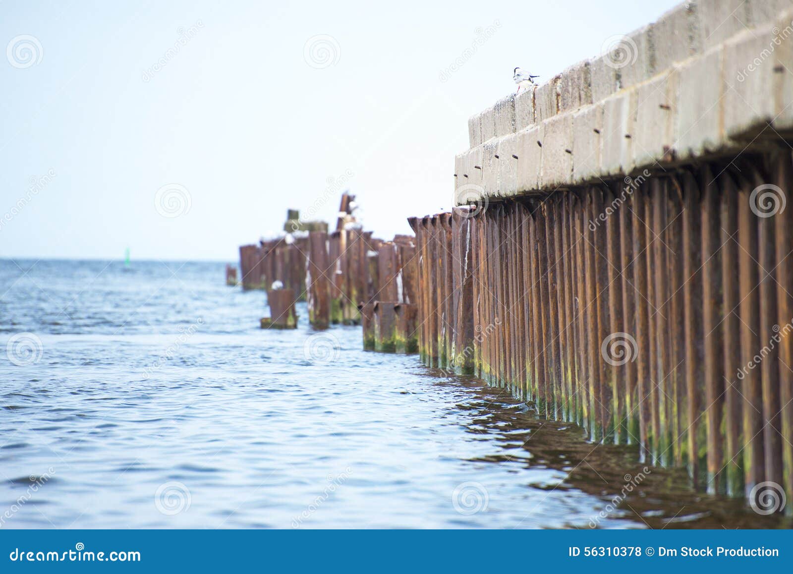 Broken old pier. stock photo. Image of peaceful, long - 56310378