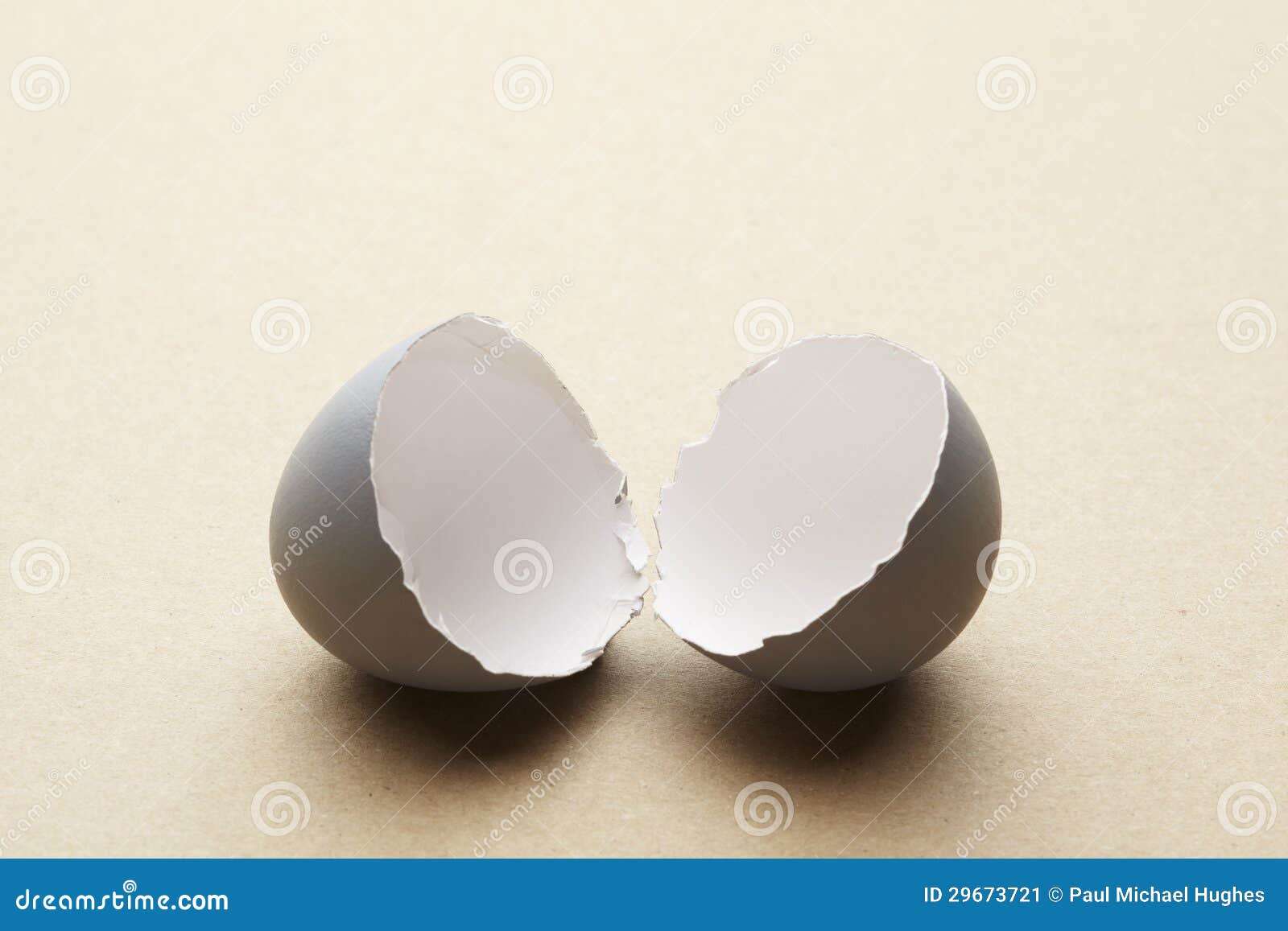 Broken Open Egg Shell Stock Image | CartoonDealer.com #29673721