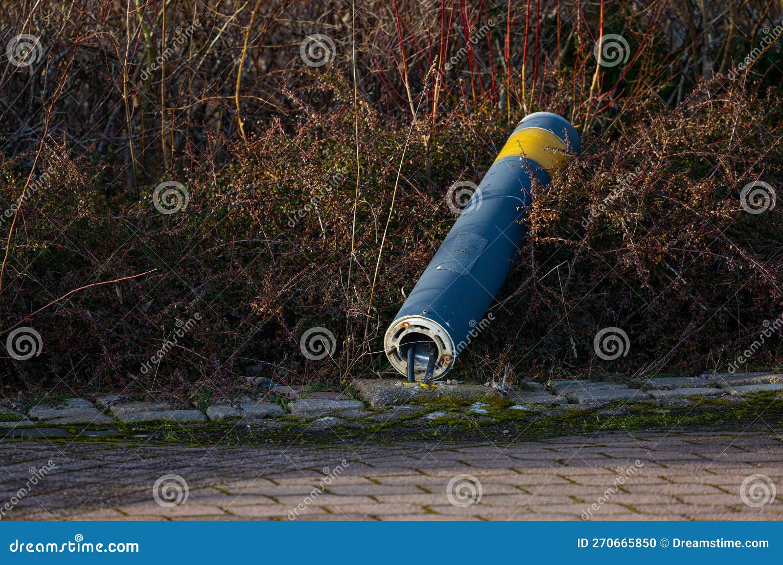 Broken Outdoor Lamp Post in a Bush.. Stock Photo - Image of garden ...