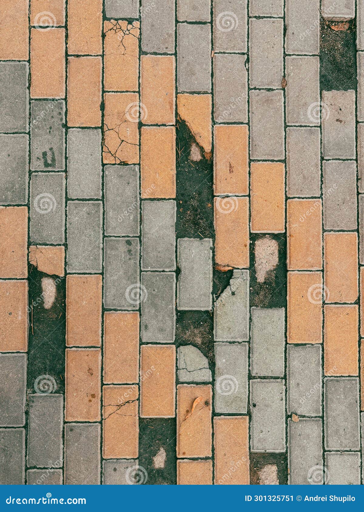 Broken Paving Slabs As a Background. Texture Stock Image - Image of ...