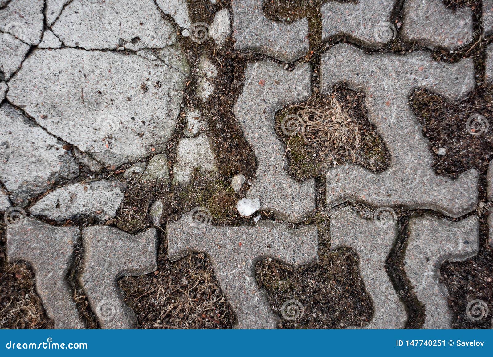 Broken Paving Stones with Faded Grass Stock Image - Image of ...
