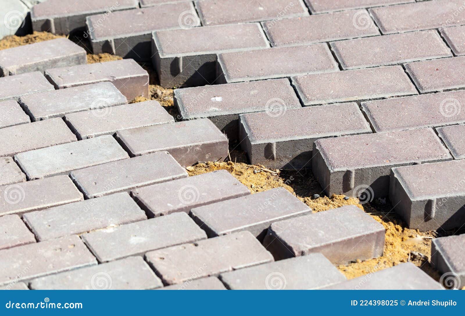 Broken Paving Stones on the Road in the Park Stock Image - Image of ...