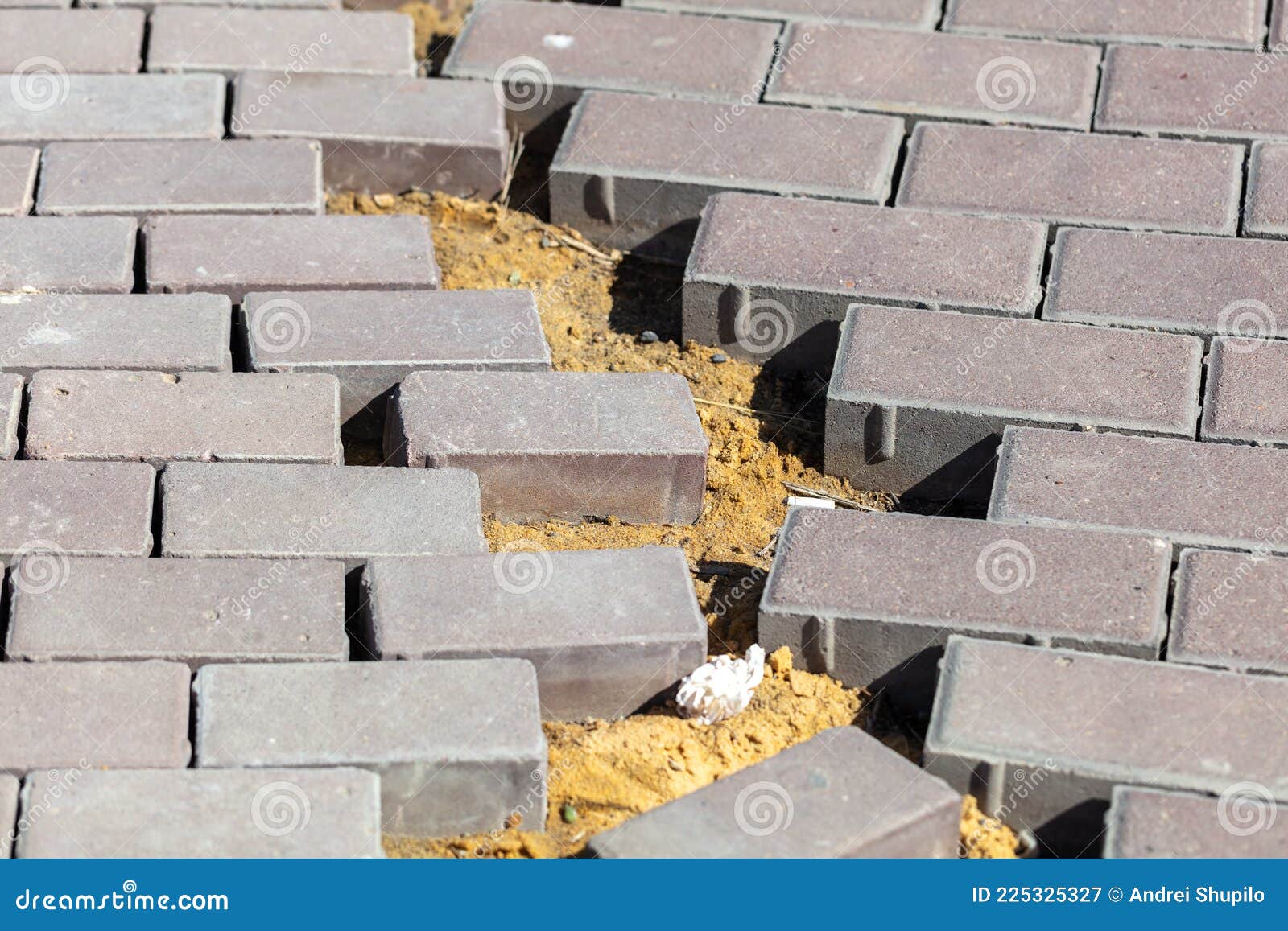 Broken Paving Stones on the Road in the Park Stock Image - Image of ...