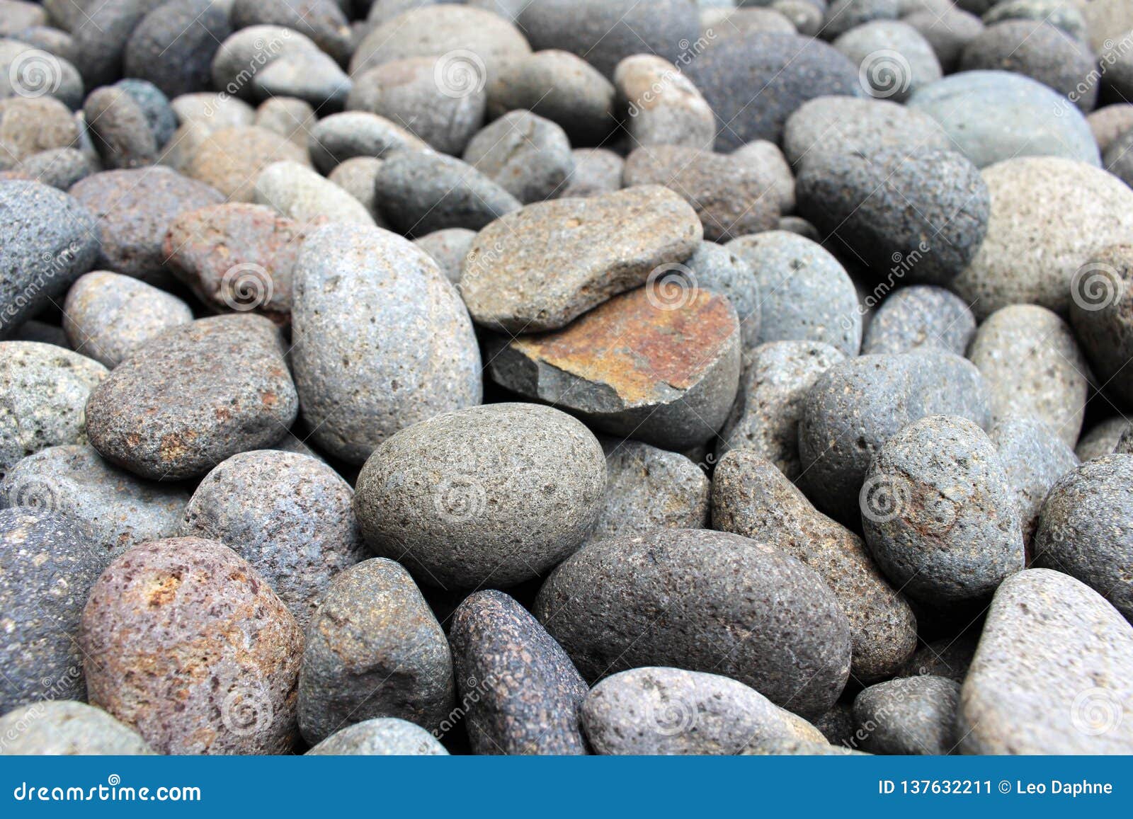 A Broken Pebble among Stones in the Garden Stock Image - Image of ...
