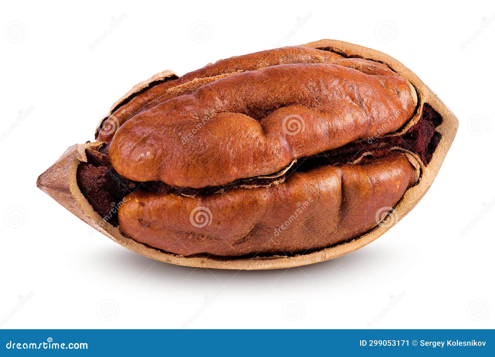 Broken Pecan Nut Isolated on White Background with Full Depth of Field ...
