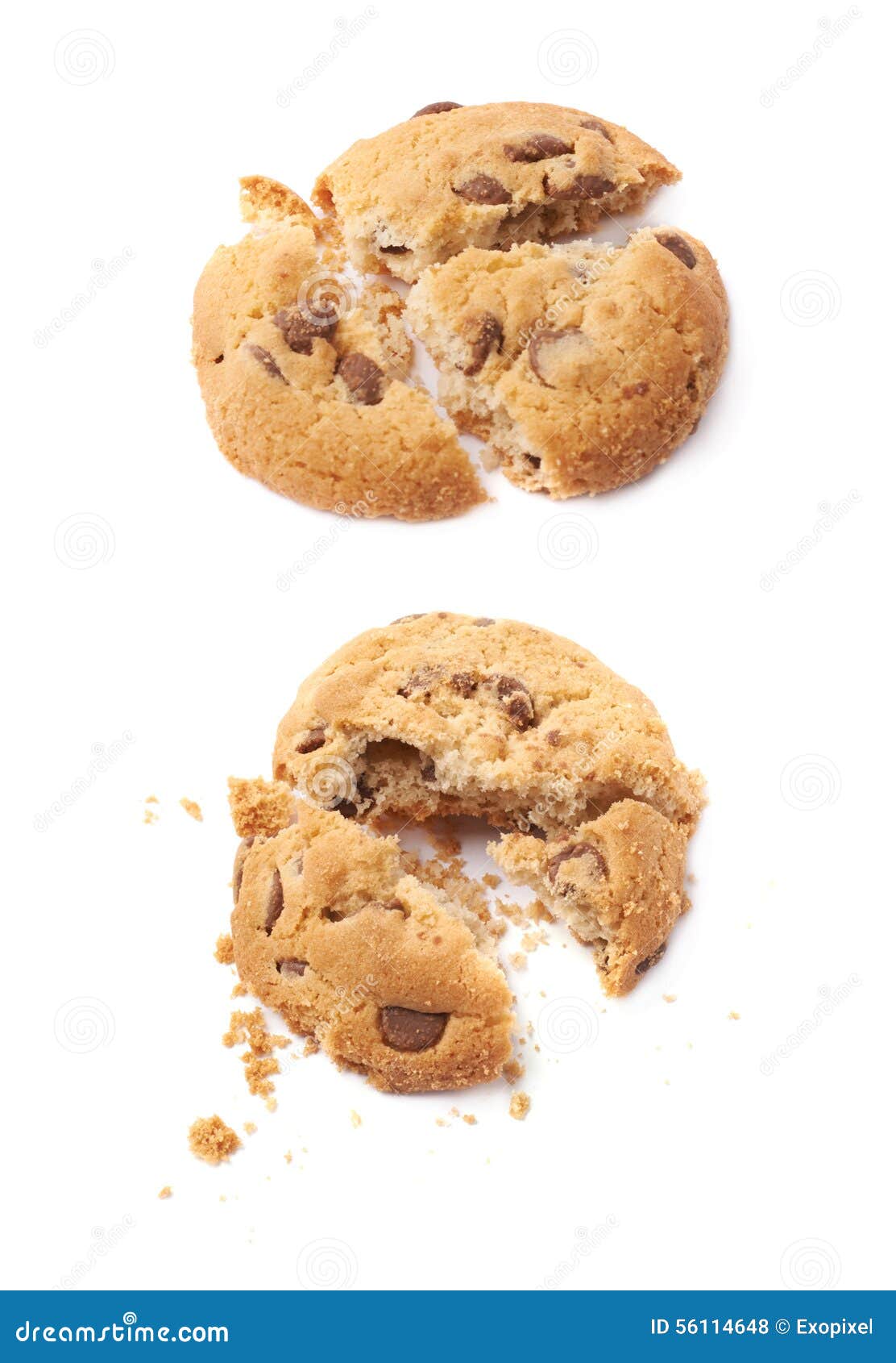Broken into Pieces Round Cookie Stock Photo - Image of healthy ...
