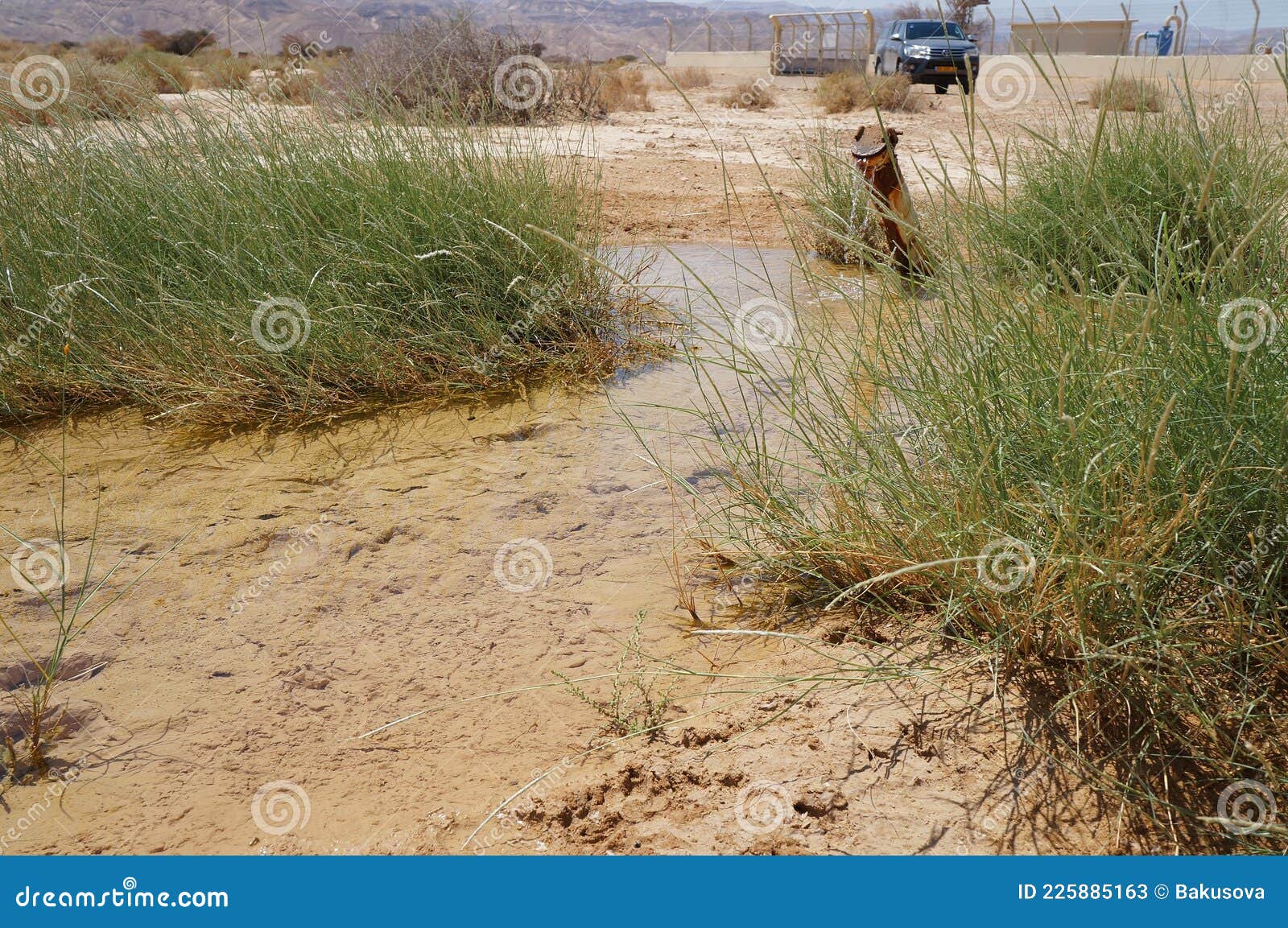 Broken Pipe of Clear Water and Puddle in the Desert Stock Image - Image ...