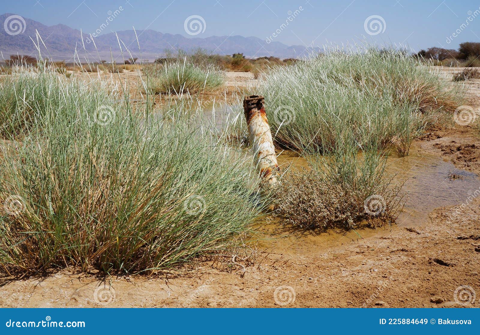 Broken Pipe of Clear Water and Puddle in the Desert Stock Image - Image ...