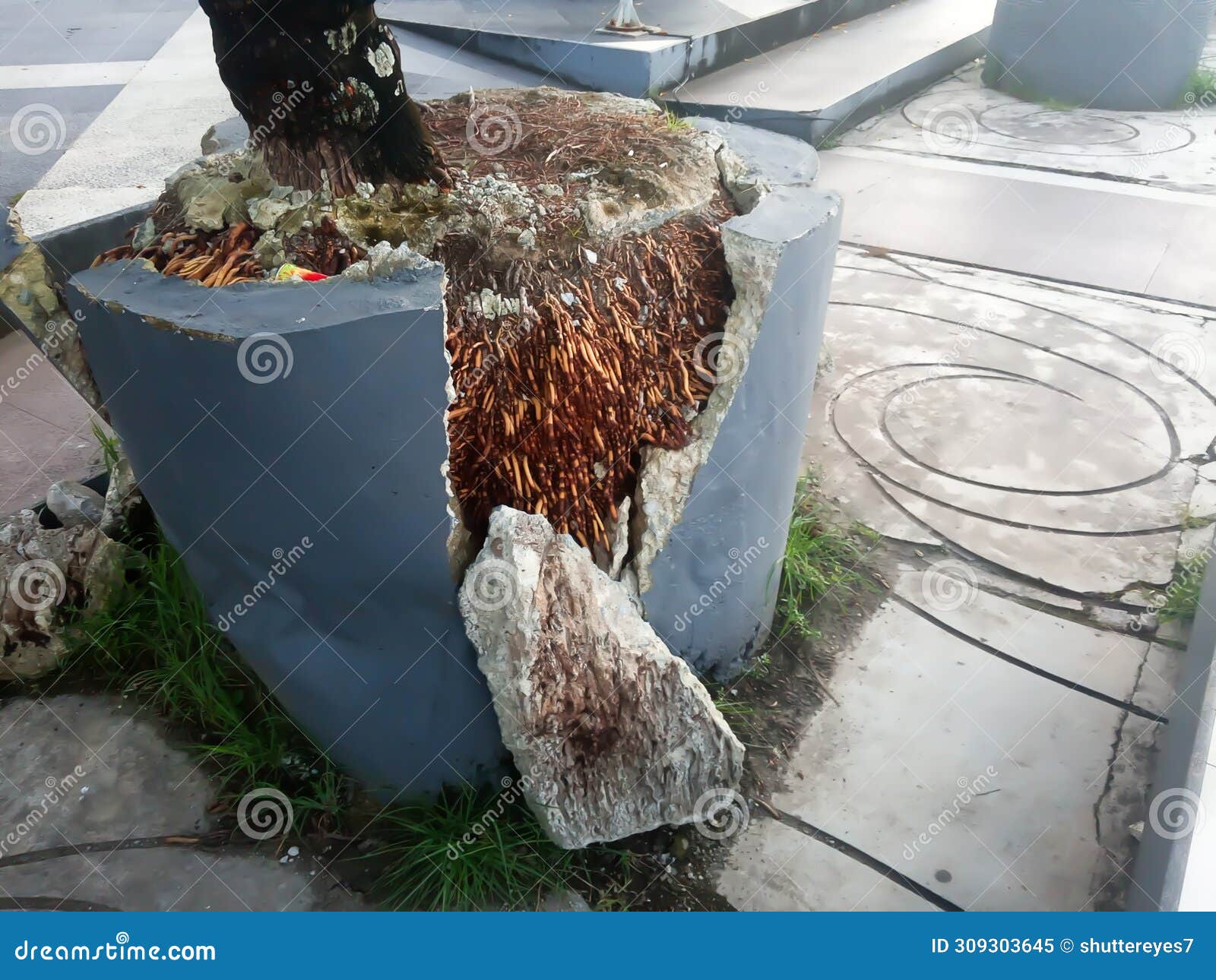 Broken Plant Pot in the Garden. Stock Image - Image of material, roots ...