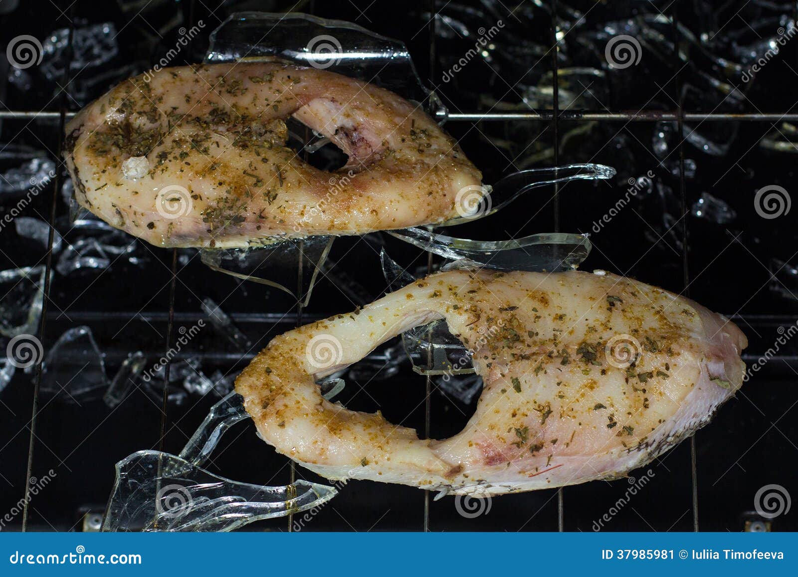 Broken Plate with Fish in Oven Stock Image - Image of fragility, fish ...