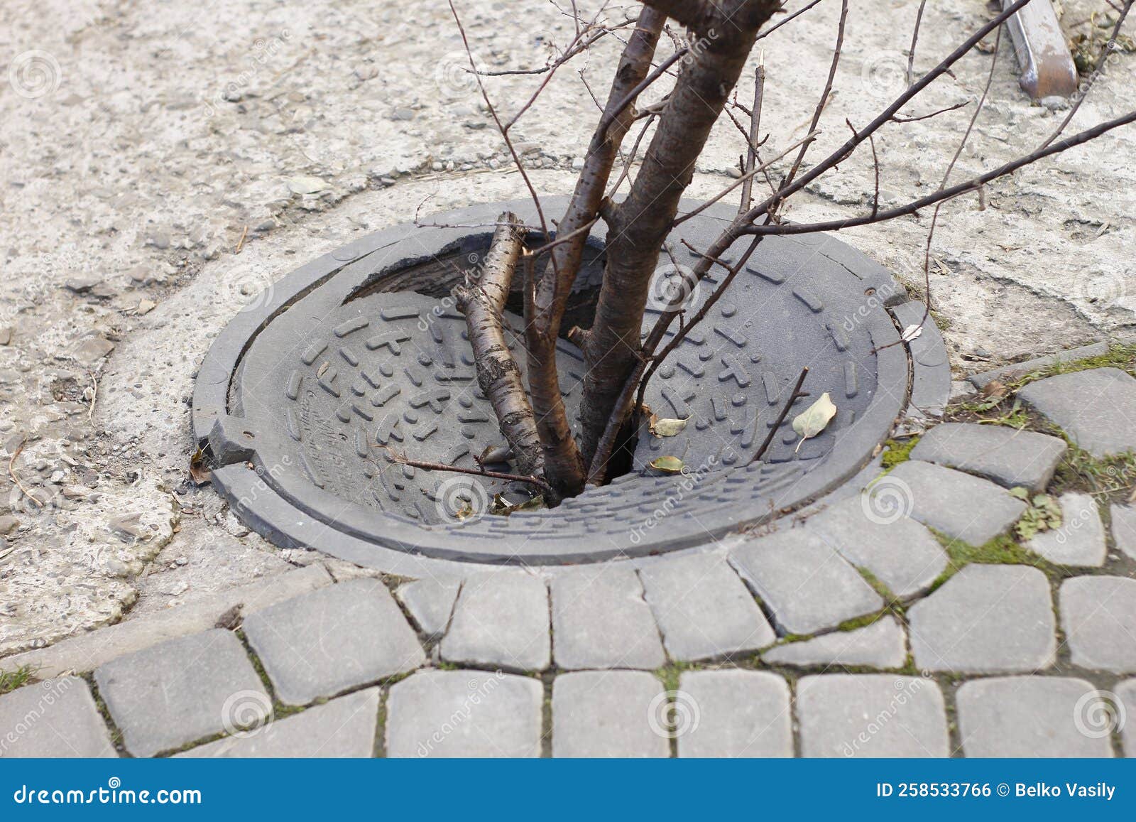 Polymer Broken Manhole Cover Stock Photos - Free & Royalty-Free Stock ...