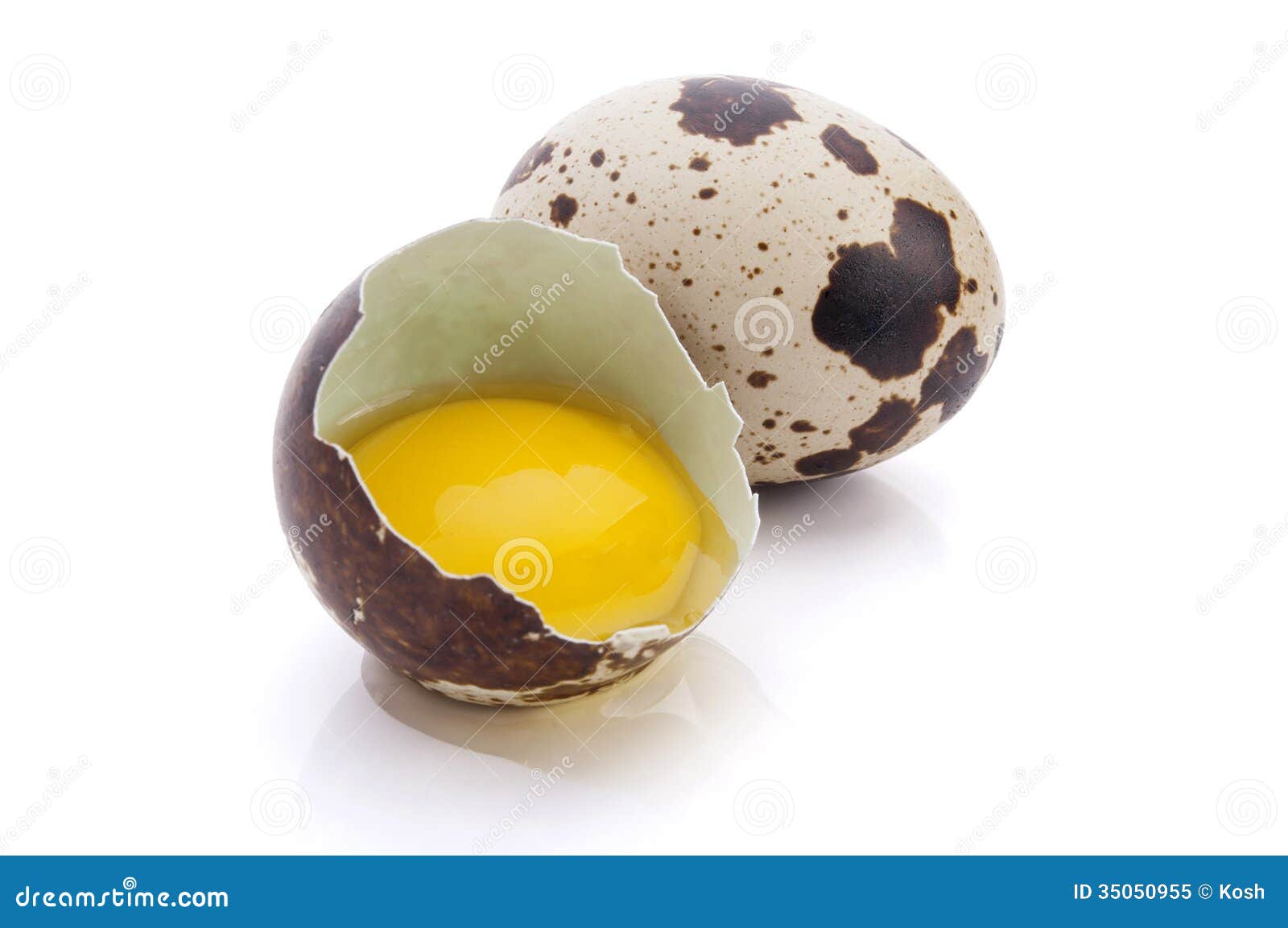 Broken quail egg stock image. Image of healthy, beginning - 35050955