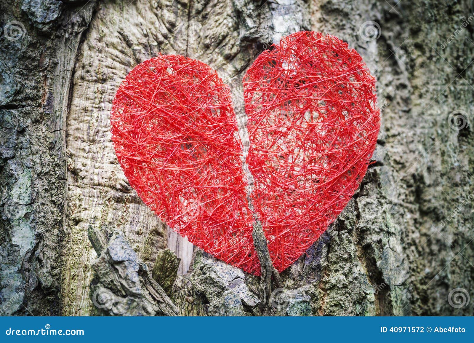Broken red heart stock photo. Image of trunk, nature - 40971572