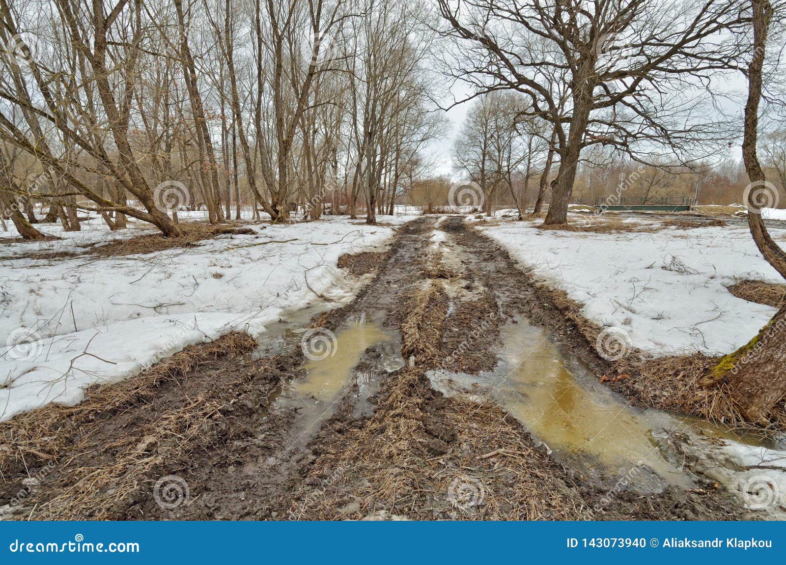 Broken Road in the Woods.the Road Goes Transport, Stirring Mud Stock ...
