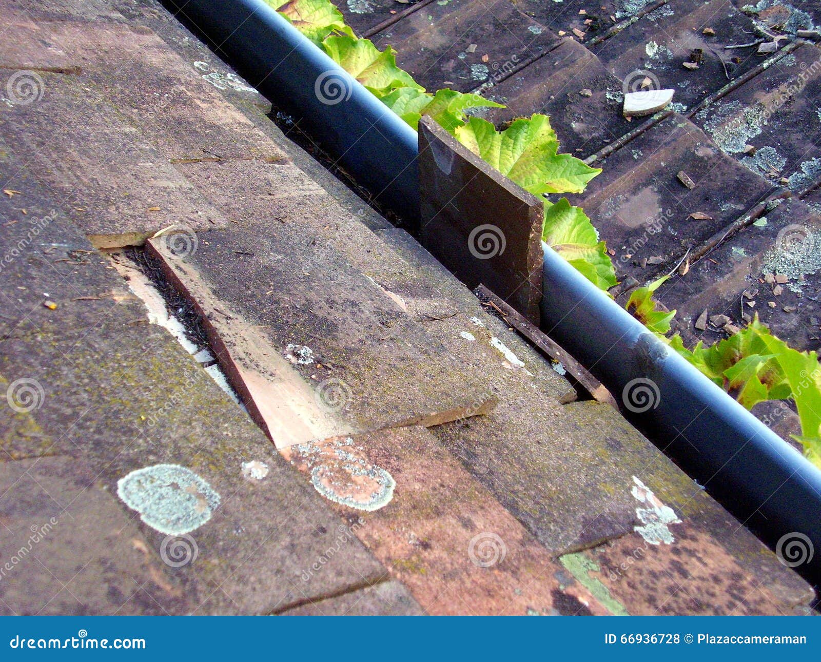 Broken Roof Tiles stock photo. Image of tile, tiled, material - 66936728