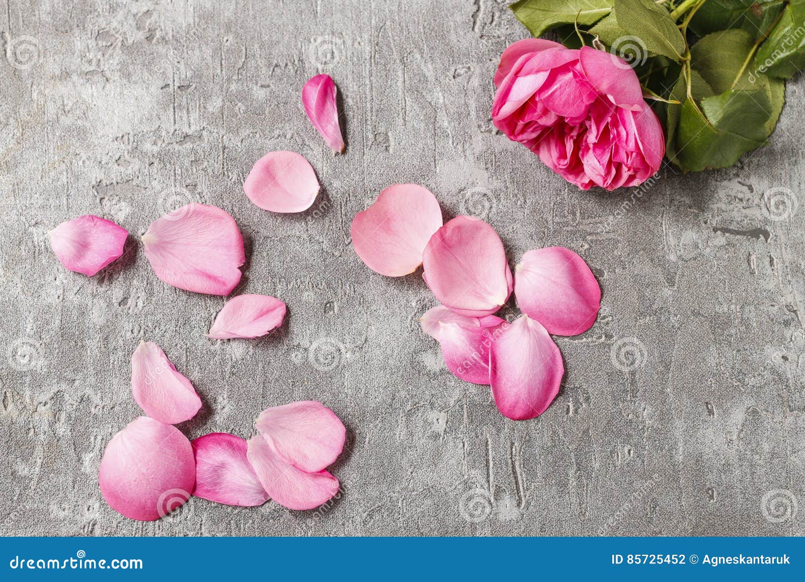 Broken Rose-colored Glasses On The Sand, By The Sea Stock Image ...