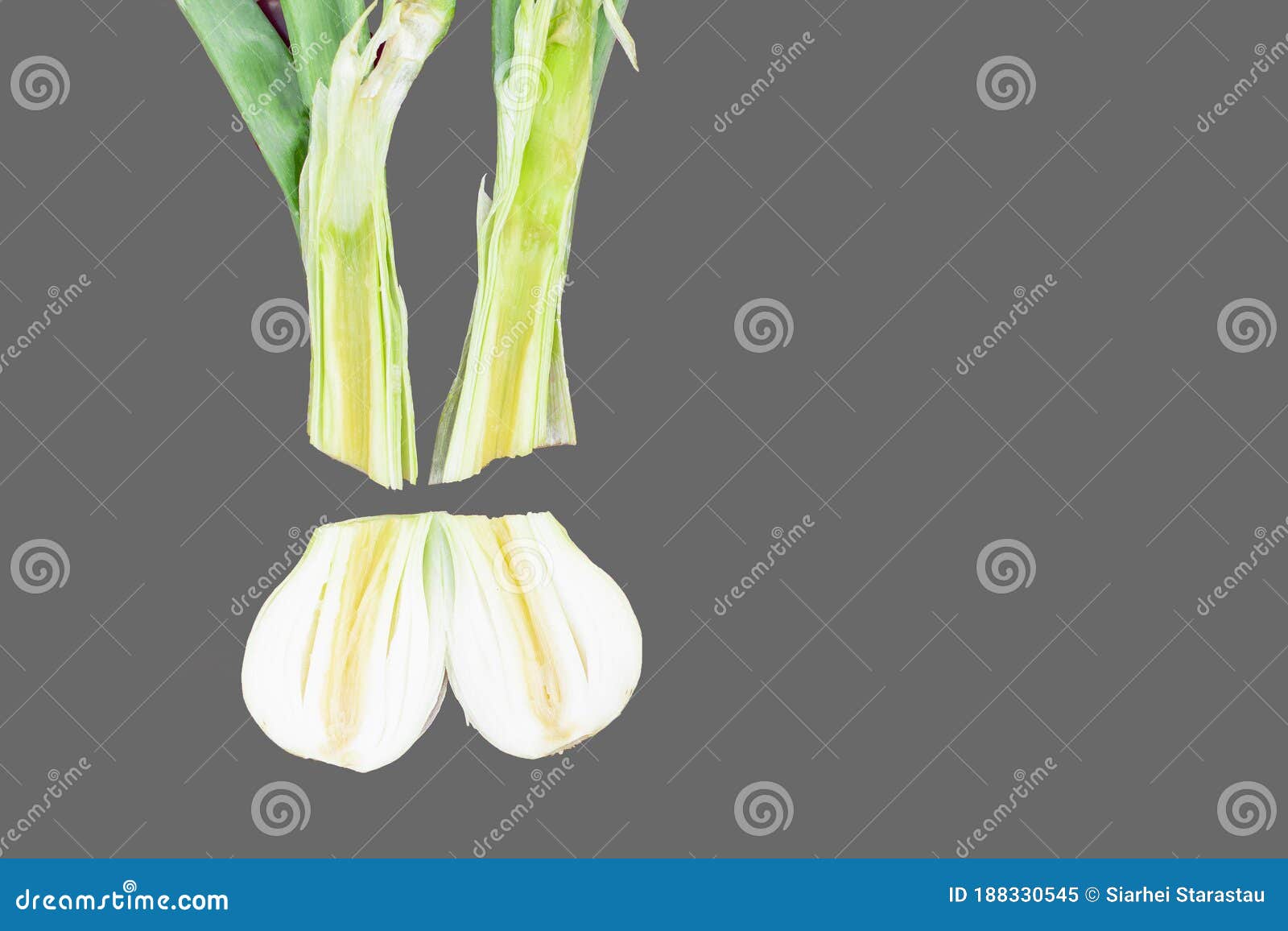 Spoiled Rotten Onions in the Cut Stock Image - Image of loaf, husk ...
