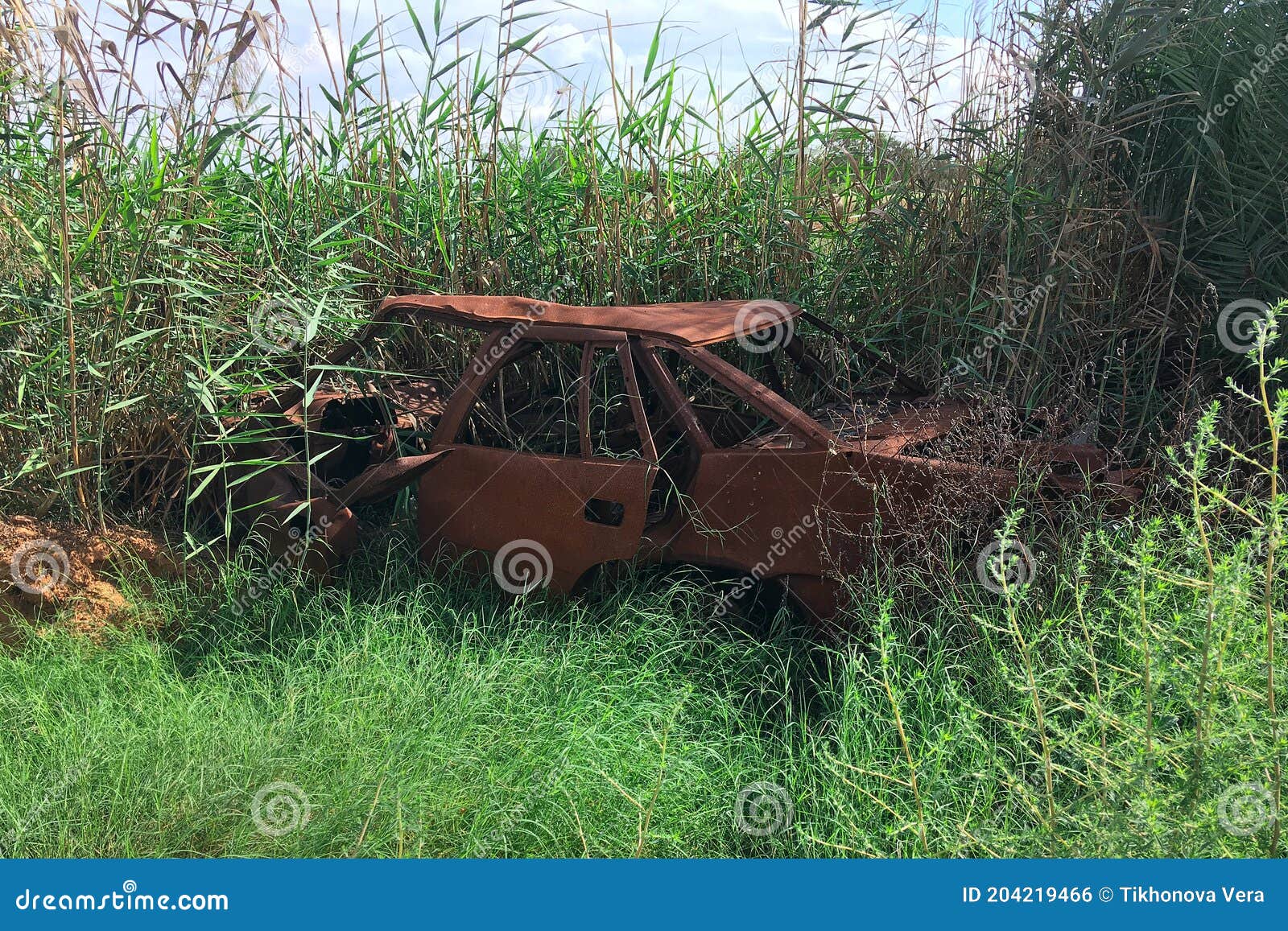 Rusty car body stock photo. Image of disaster, meadow - 204219466