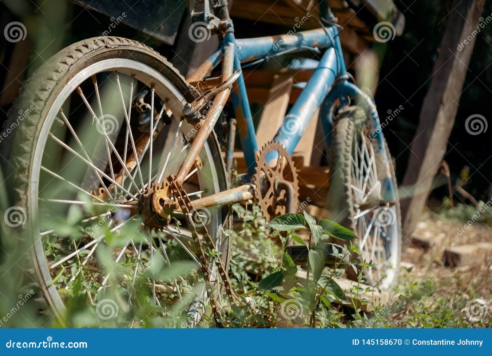 Broken Rusty Old Bicycle stock photo. Image of antique - 145158670