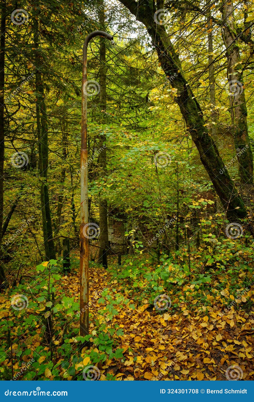 Broken Rusty Old Lamp Post in Forest Stock Photo - Image of broken ...