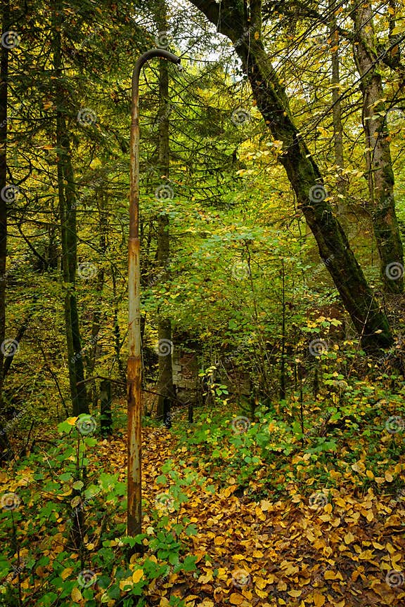Broken Rusty Old Lamp Post in Forest Stock Photo - Image of broken ...