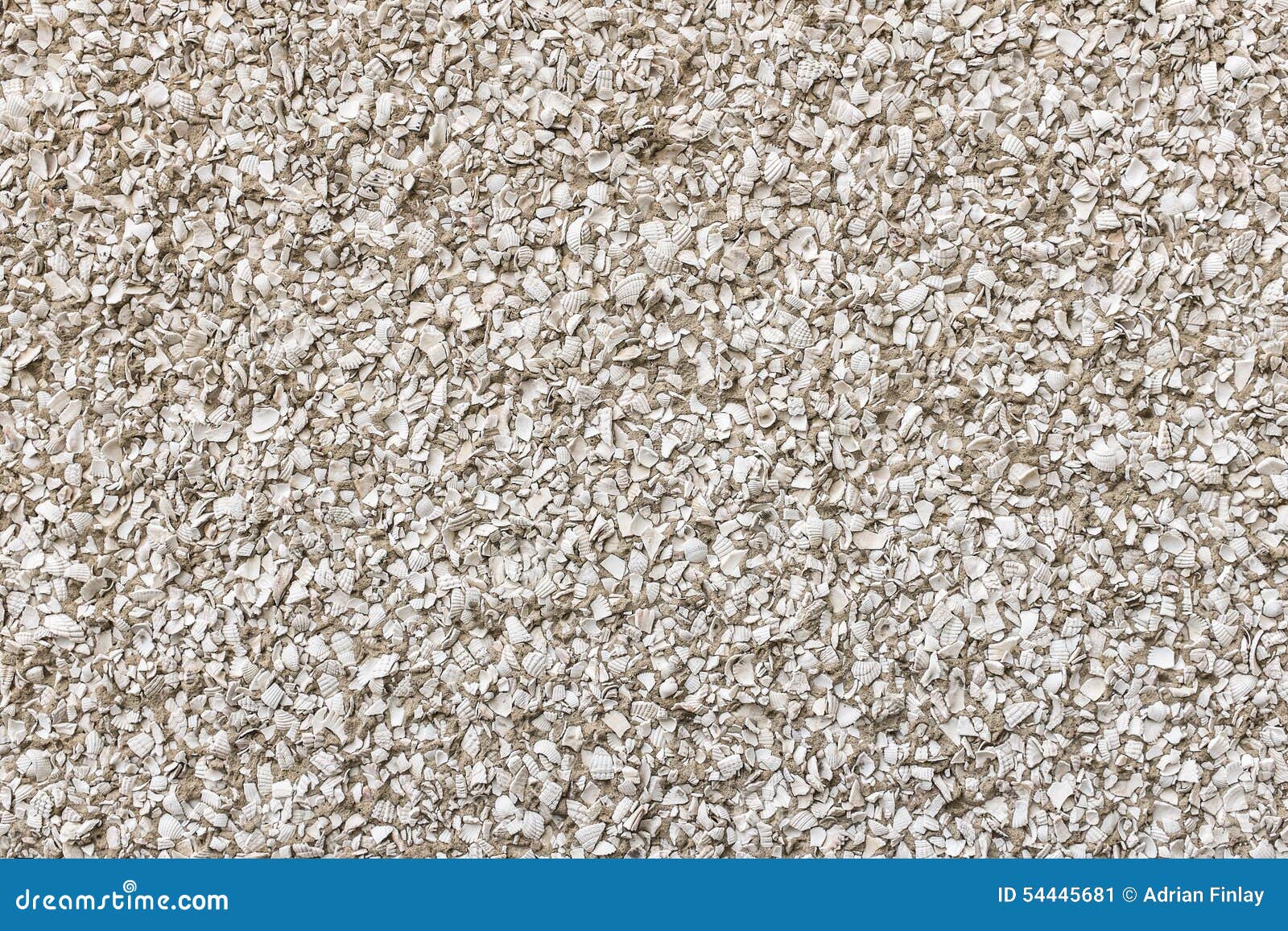 Broken Sea Shell Dash in Cement Render on Wall Stock Image - Image of ...