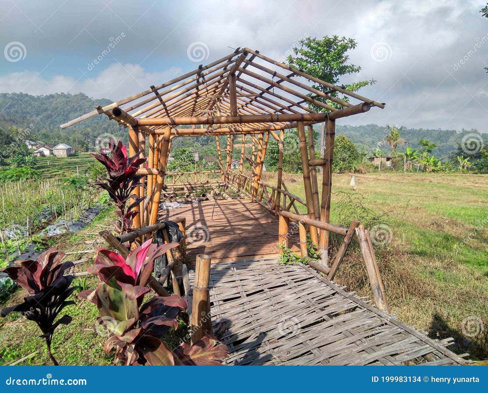 Broken Shack Bamboo Stock Photos - Free & Royalty-Free Stock Photos ...