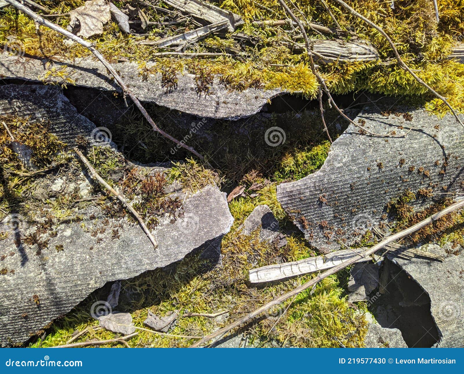 Broken Sheets of Old Slate with Moss Stock Photo - Image of debris ...
