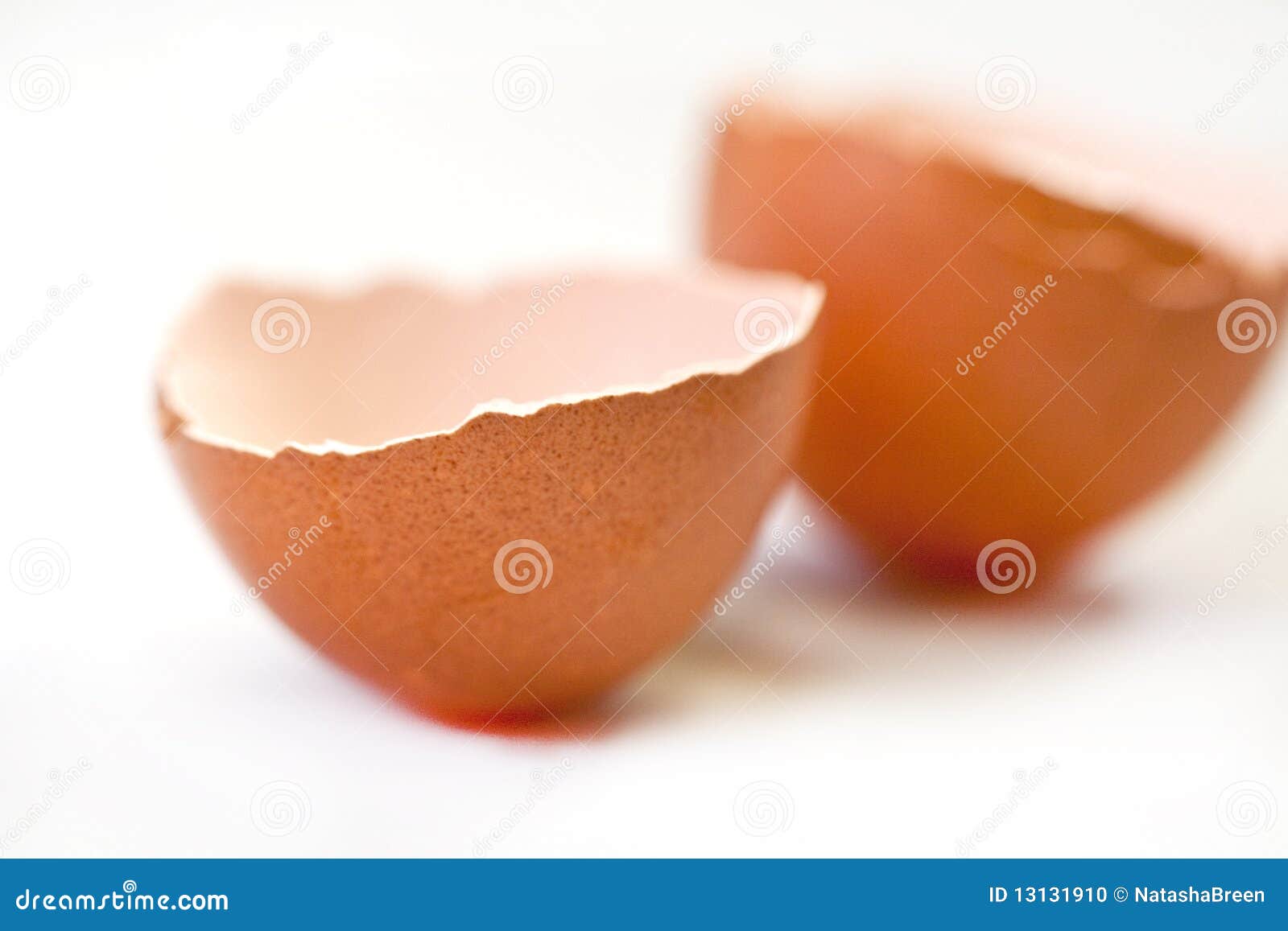 Broken shell stock photo. Image of shell, poultry, three - 13131910
