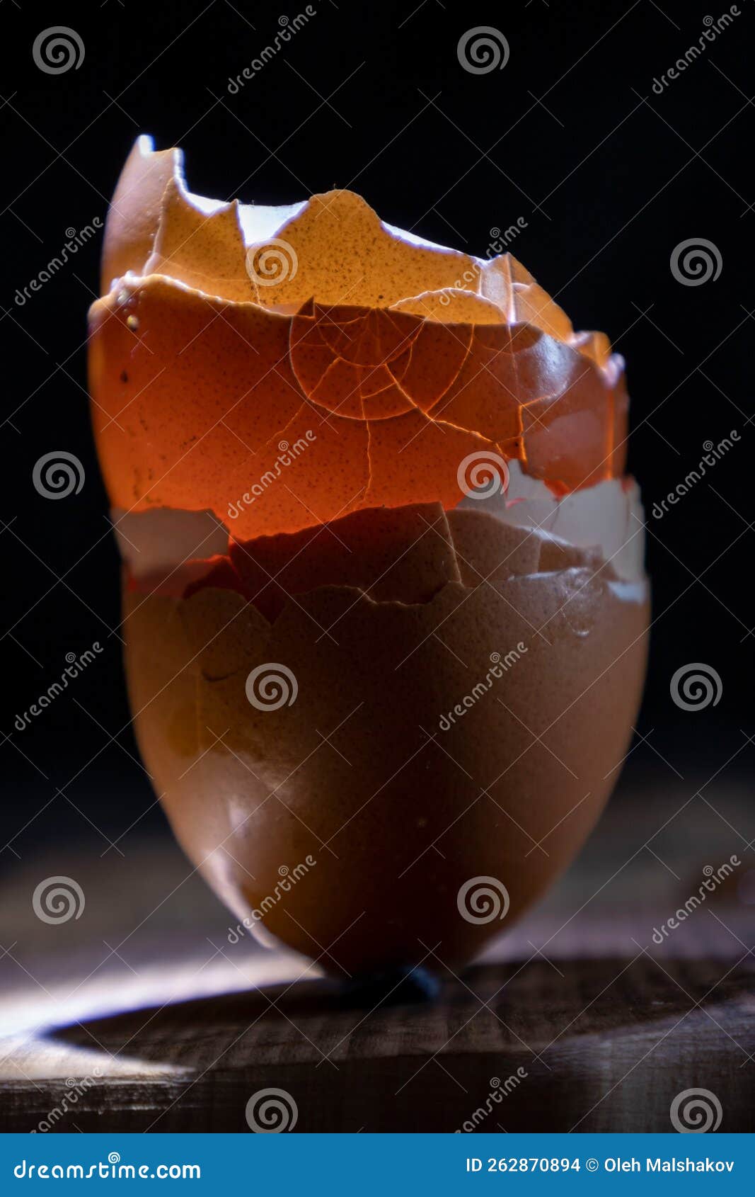 A Broken Shell from a Chicken Egg. Organic Waste. Stock Photo - Image ...