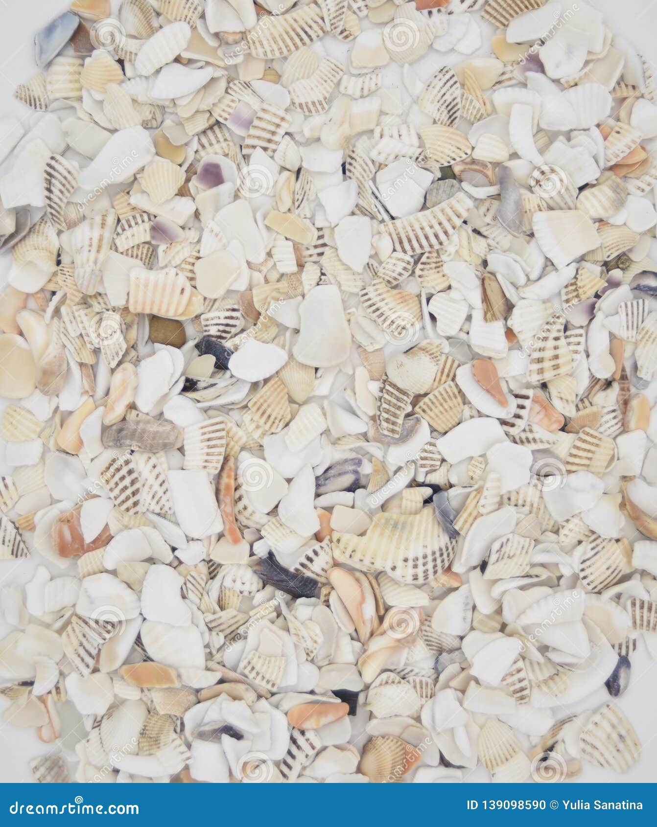 Broken Shells and Pebbles Background Stock Photo - Image of ocean ...