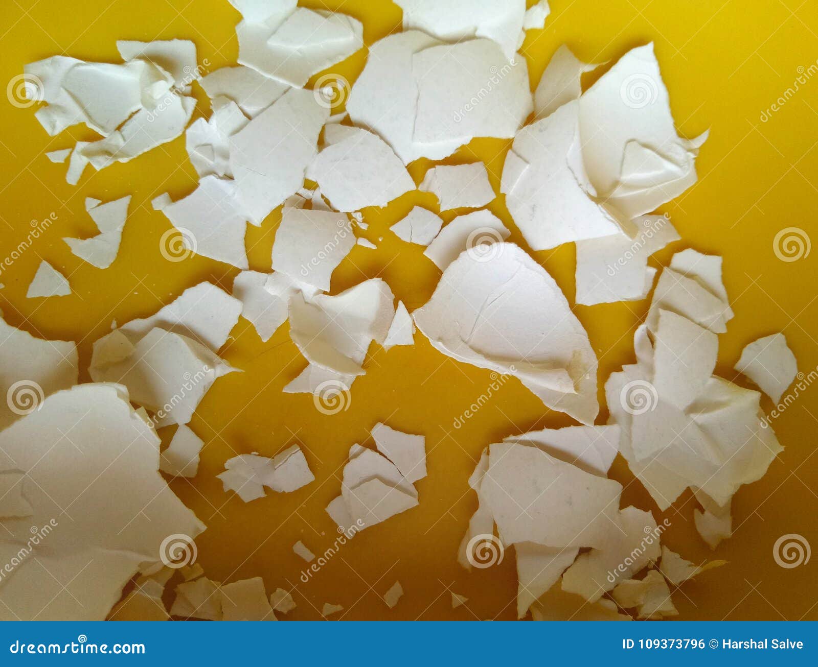 Broken Shell Particles of Egg Stock Photo - Image of empty, life: 109373796