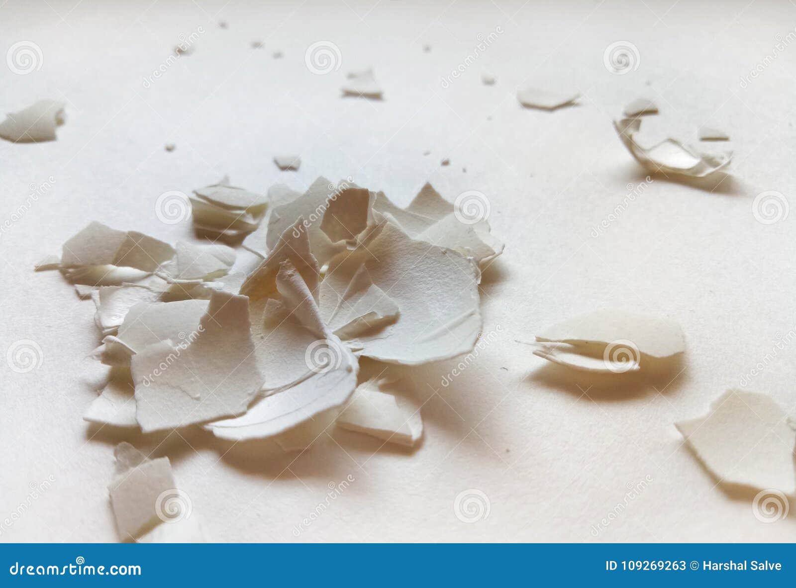 Broken Shell Particles of Egg Stock Image - Image of meal, financial ...