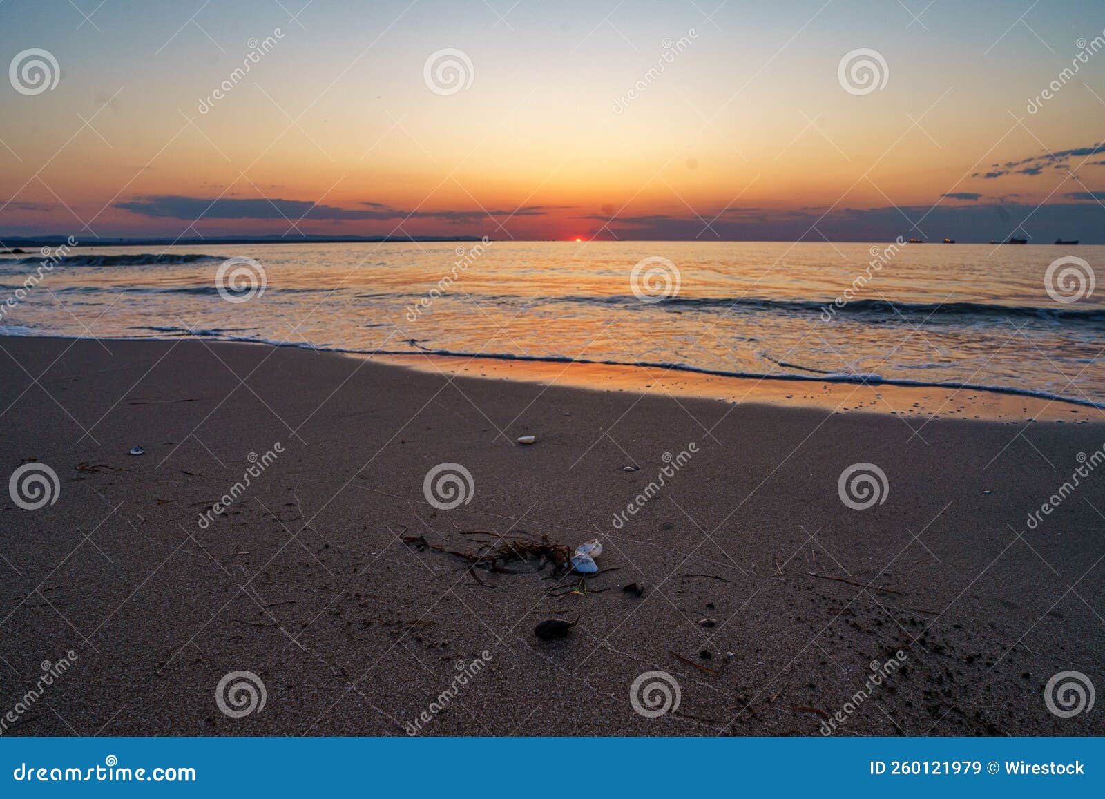 Broken Shell on the Sandy Beach by the Sea with Horizon Sunset Orange ...