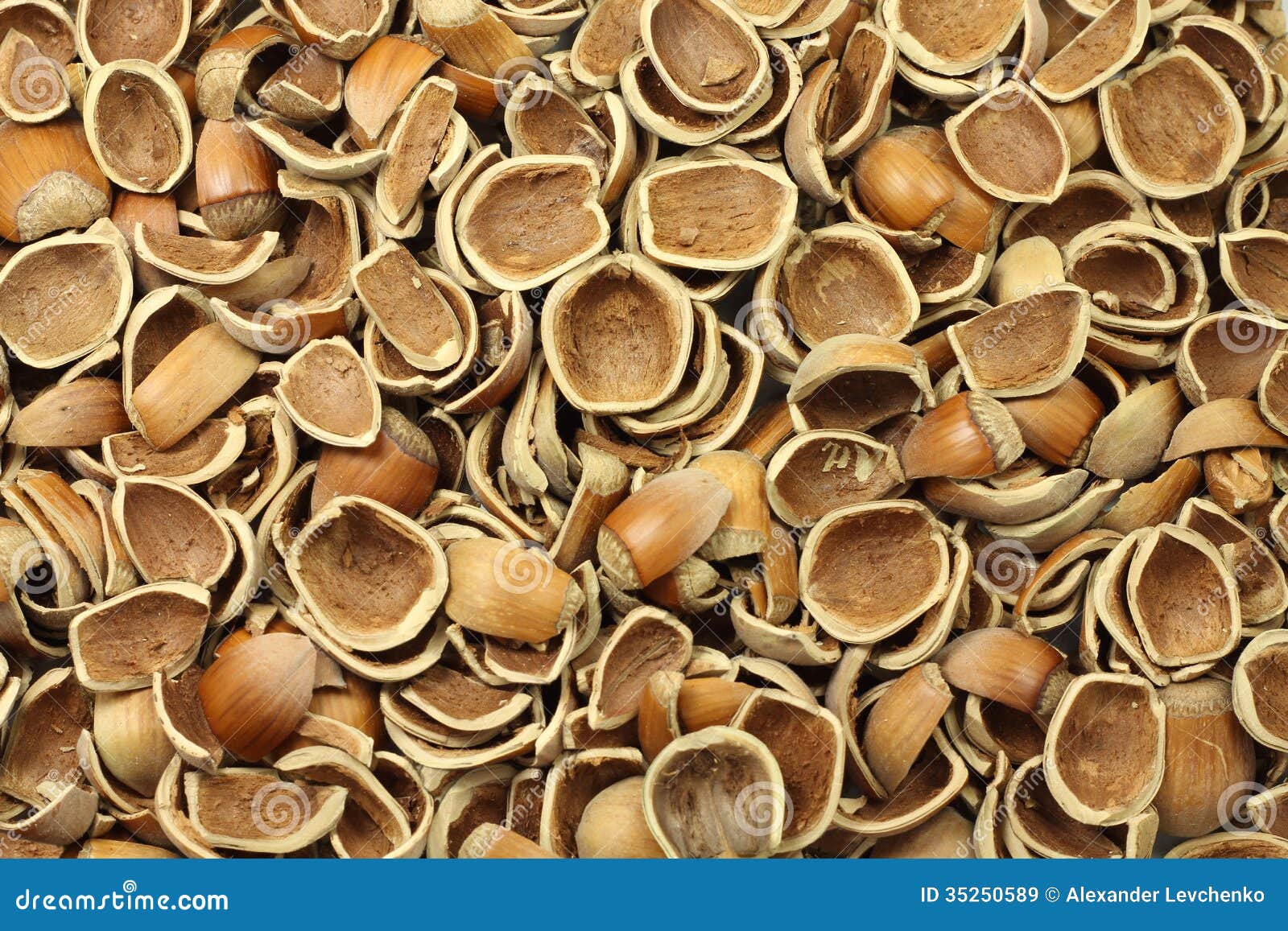 Broken shells of hazelnuts stock image. Image of peel - 35250589