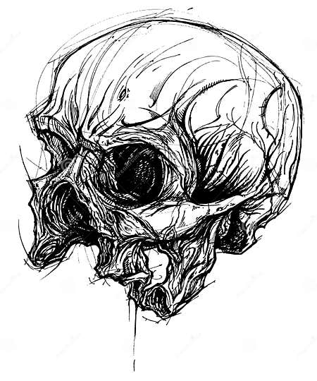 Broken Skull Drawing Line Work Vector Stock Vector - Illustration of ...