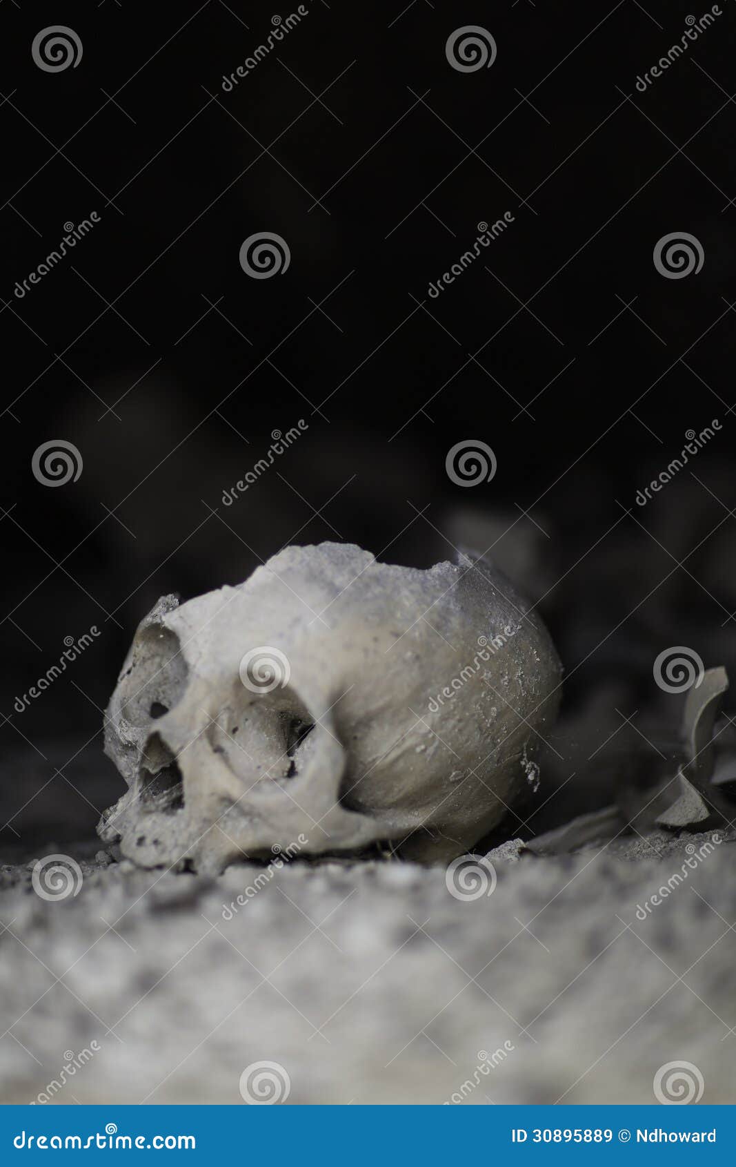 Broken skull stock image. Image of skull, cave, peninsula - 30895889