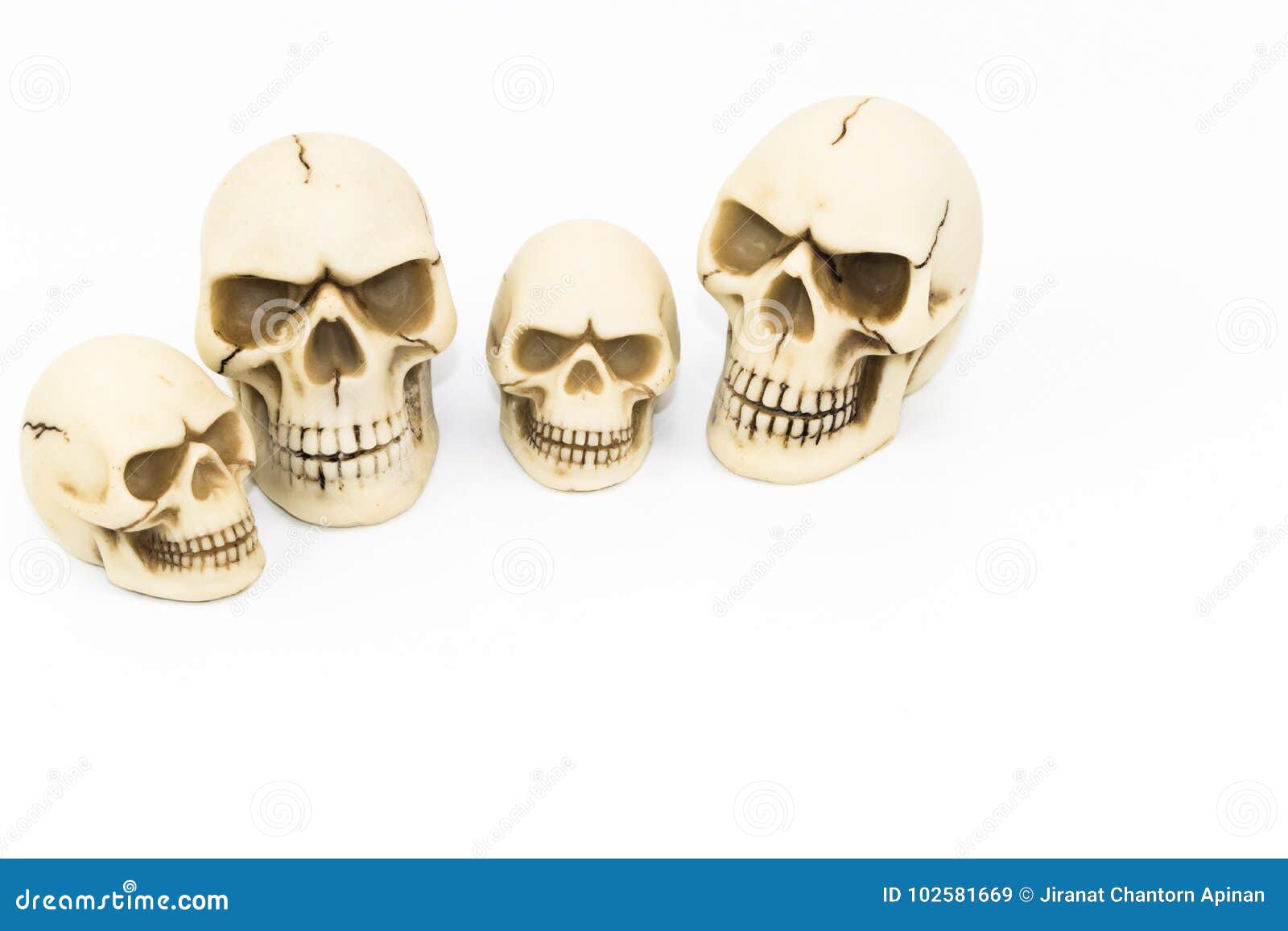 The Broken Skulls on White Backdrop Stock Image - Image of horror ...