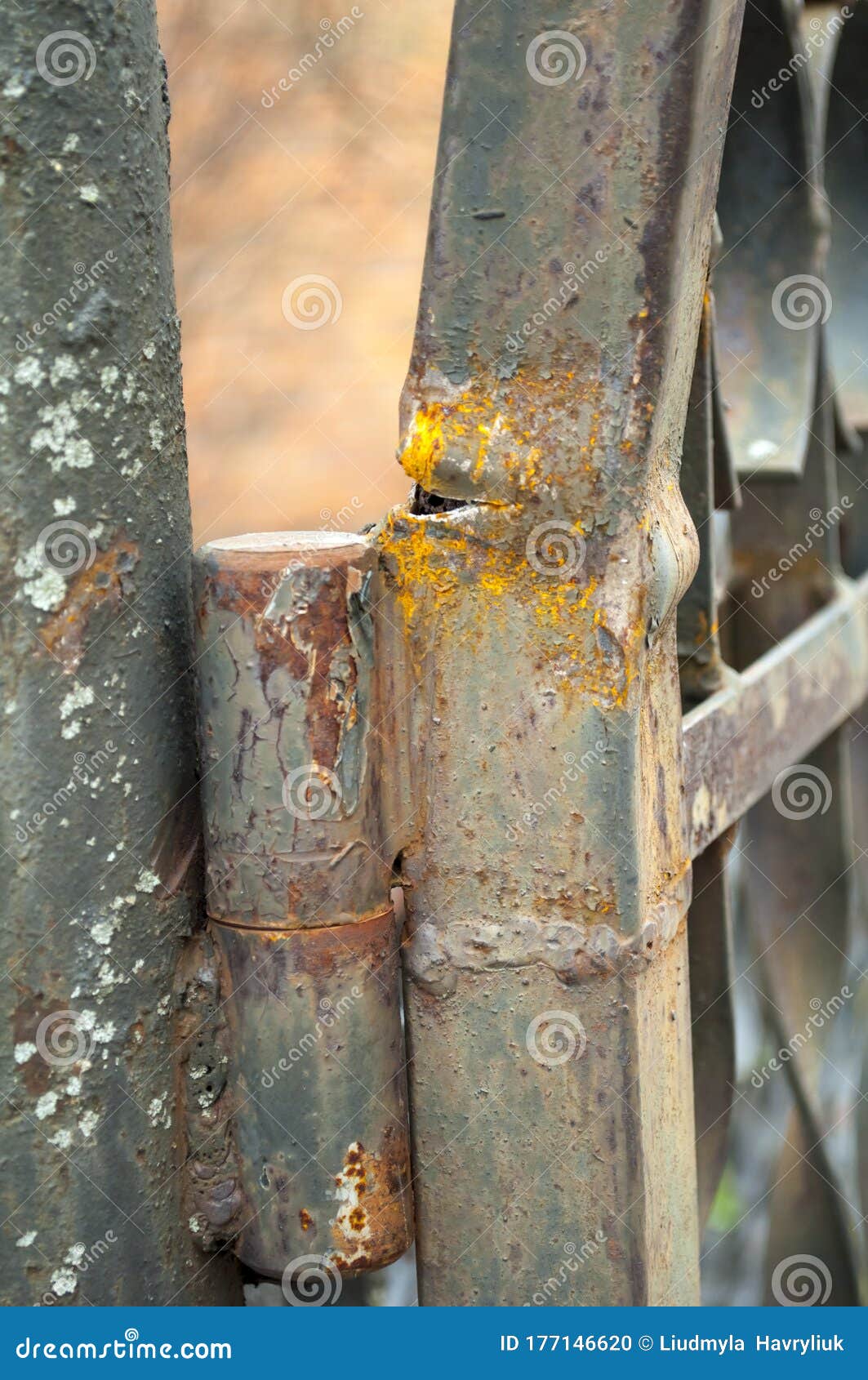 Broken, Slightly Rusty Iron Gate Stock Photo - Image of paint, metal ...