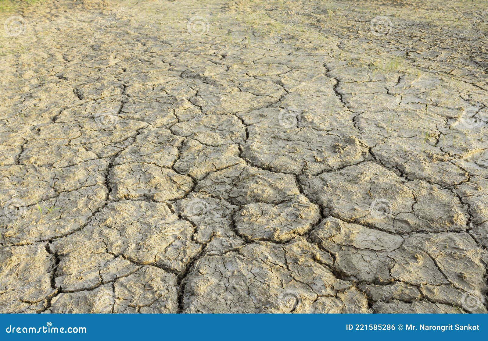 Broken soil stock photo. Image of pattern, land, environmental - 221585286