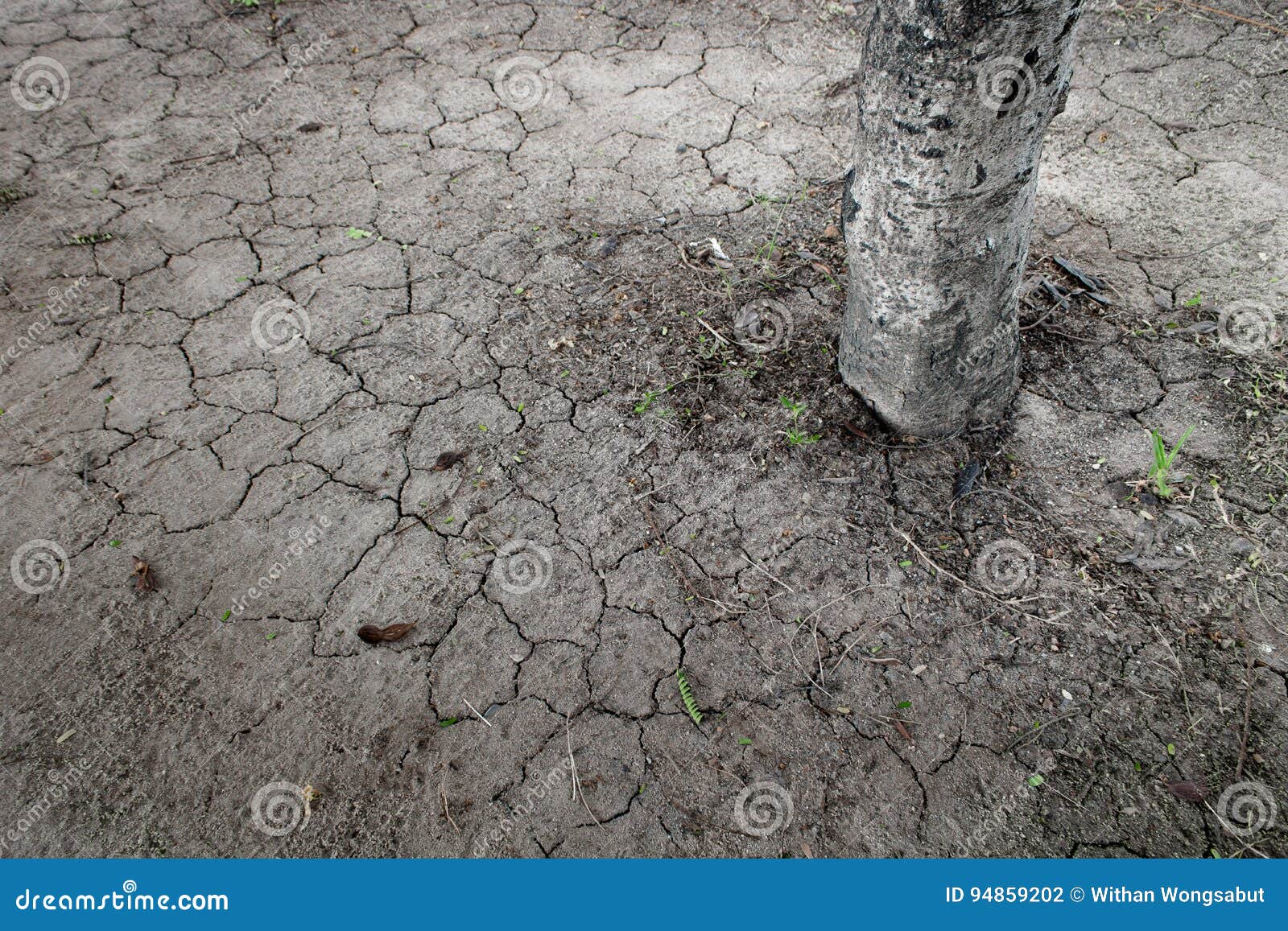 Broken Soil Cracked Ground. Ground Texture Background Stock Image ...