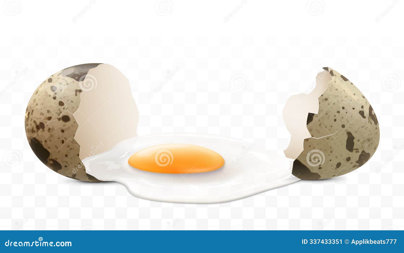 A Broken Spotted Quail Egg Isolated on a Transparent Background. the ...