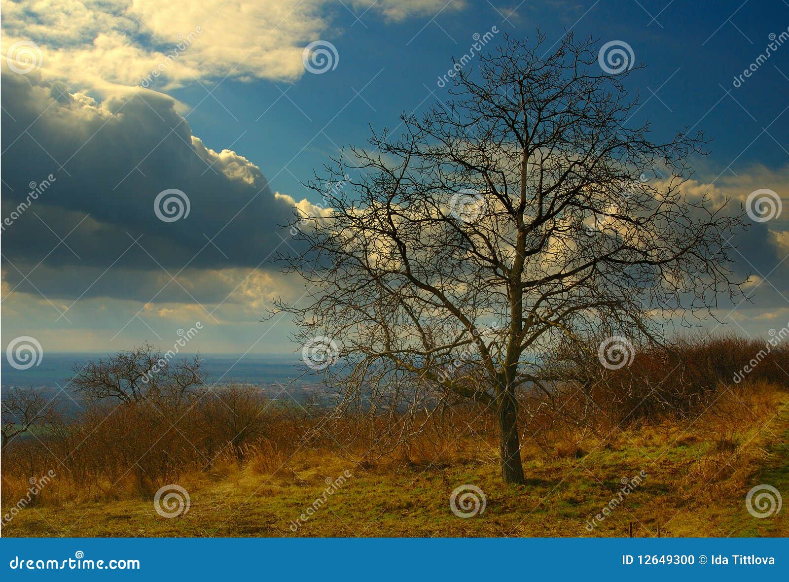 Broken spring stock photo. Image of awakening, clouds - 12649300
