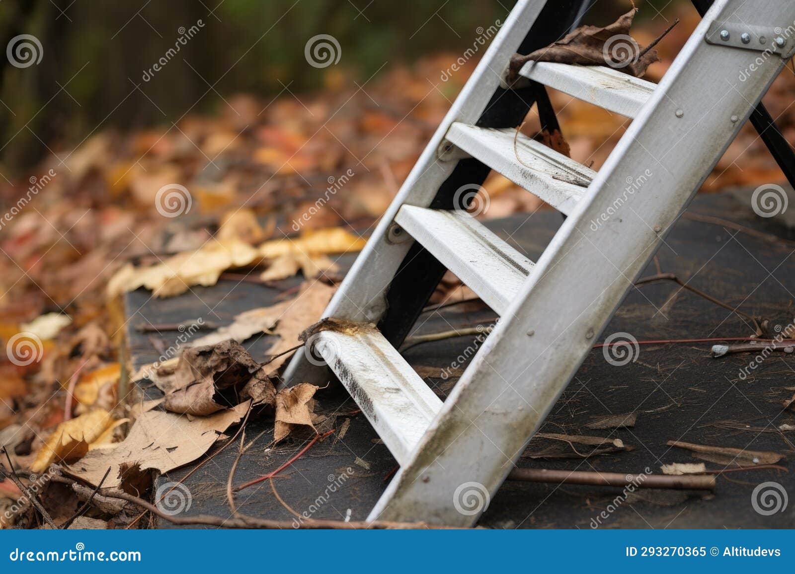 A Broken Step on an Outdoor Ladder Stock Illustration - Illustration of ...