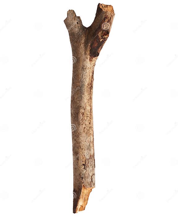 Broken stick stock image. Image of nature, broken, brown - 57208301