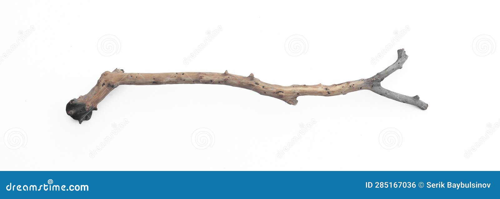 Broken Stick Snag Isolated on White Stock Photo - Image of branch, twig ...