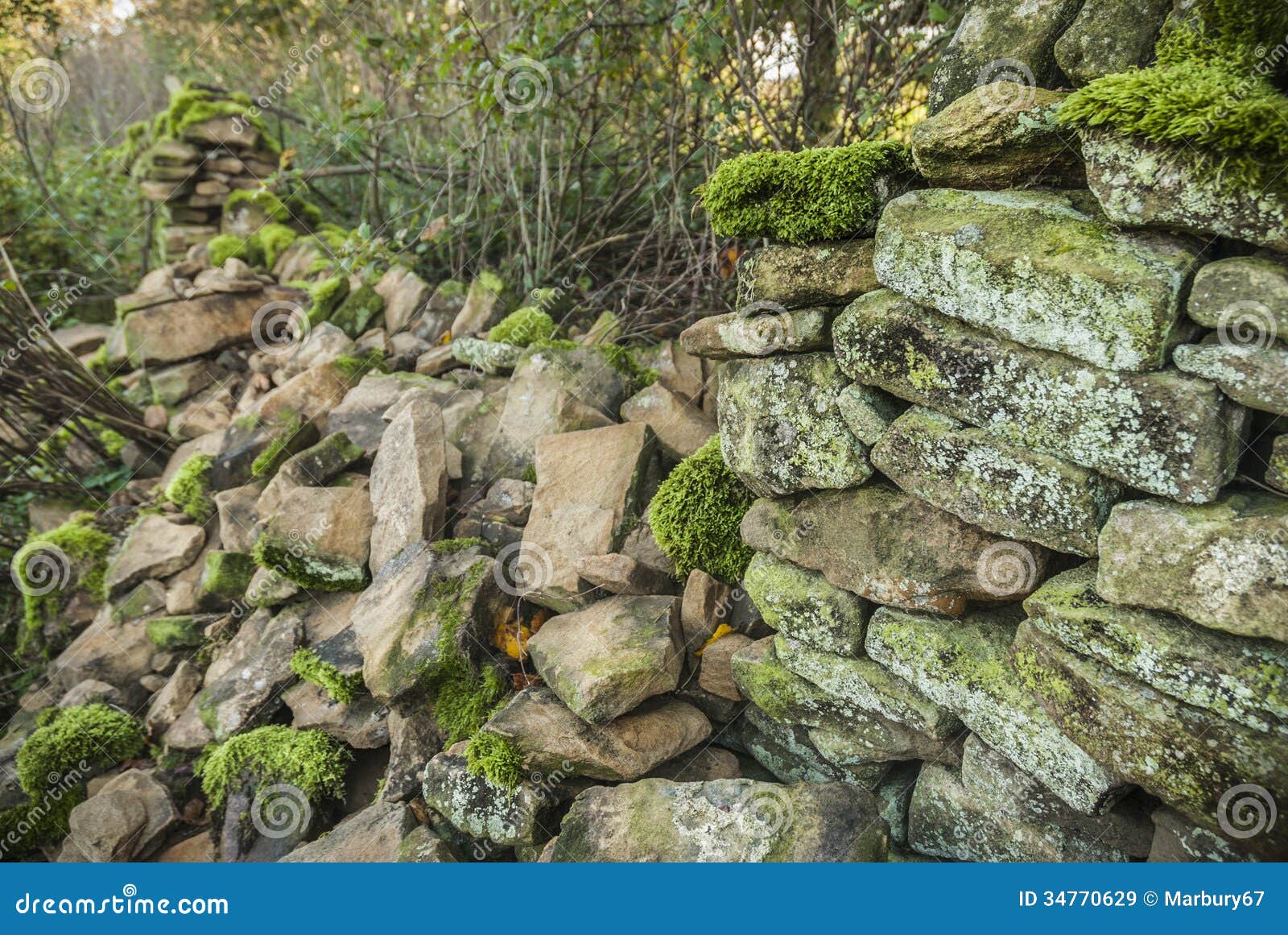 Broken Stone Wall stock image. Image of tree, debris - 34770629