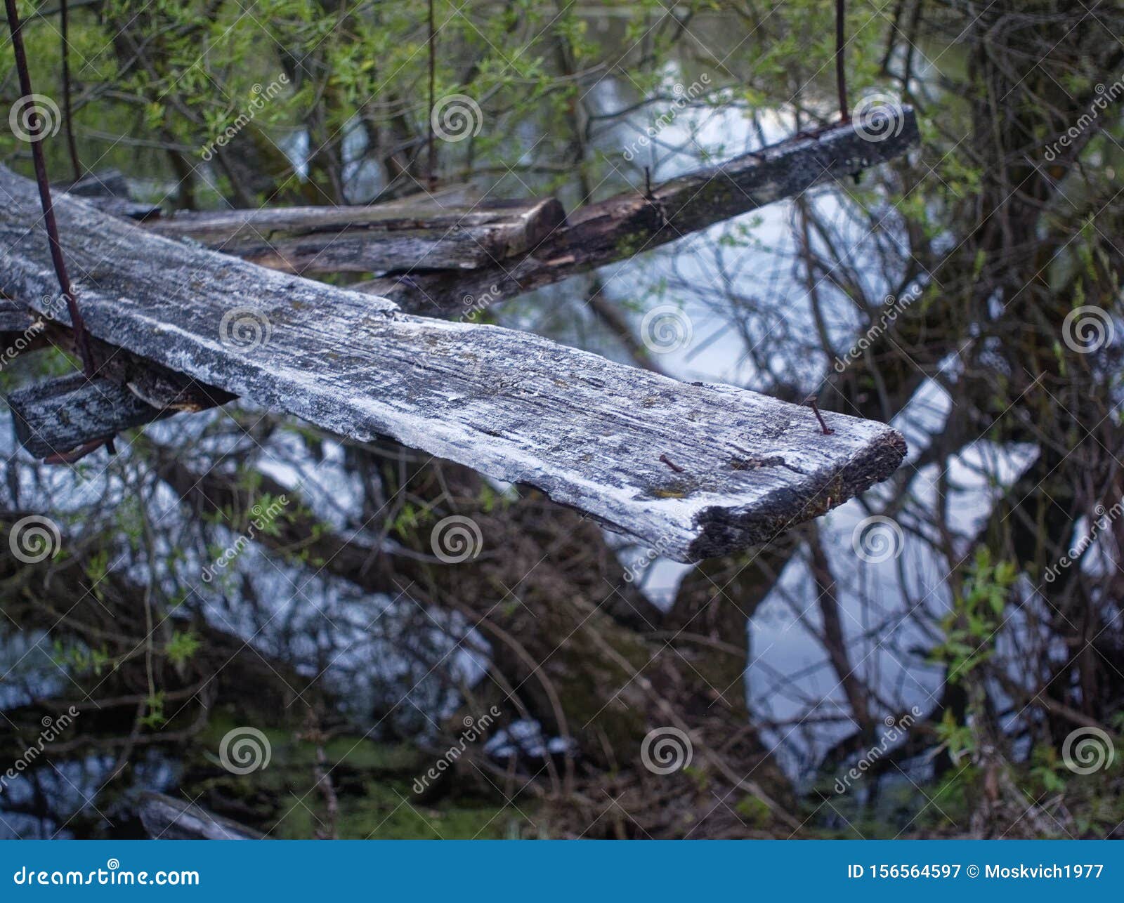 Broken Suspension Bridge on Spring Evening Stock Image - Image of road ...