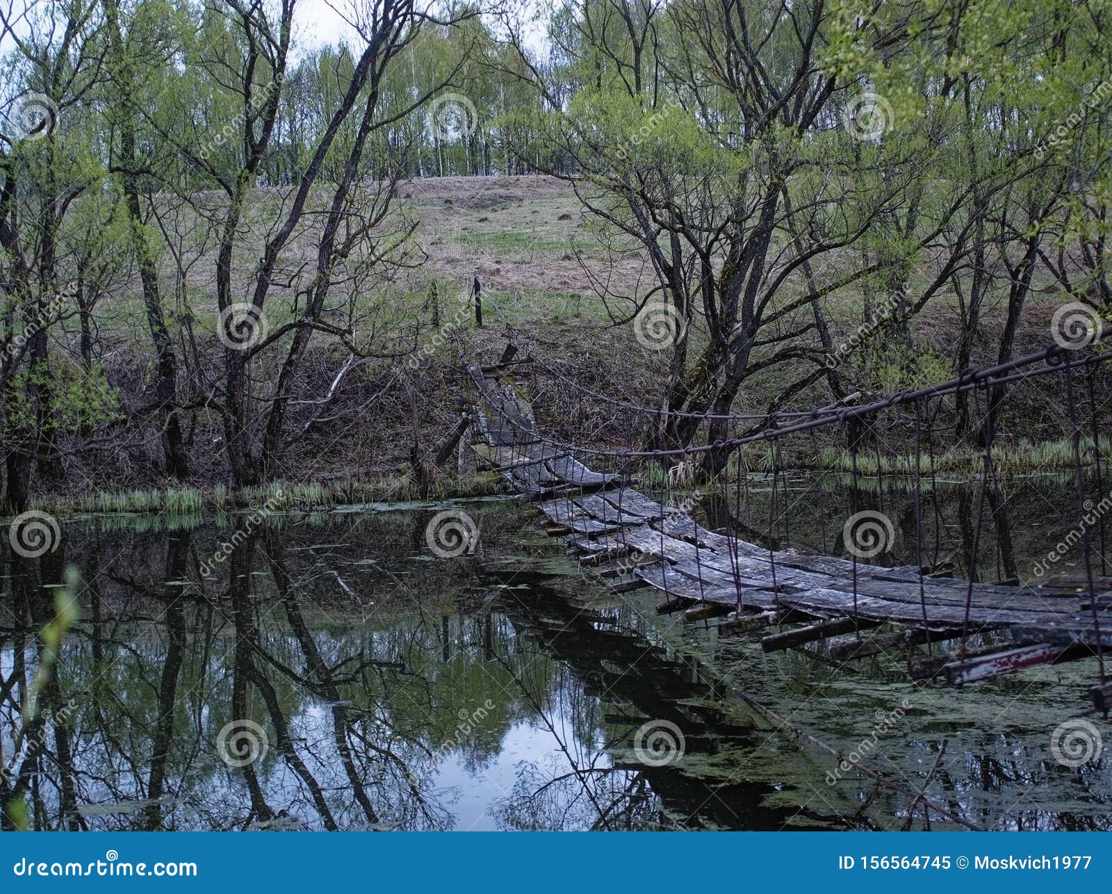 Broken Suspension Bridge on Spring Evening Stock Image - Image of cross ...
