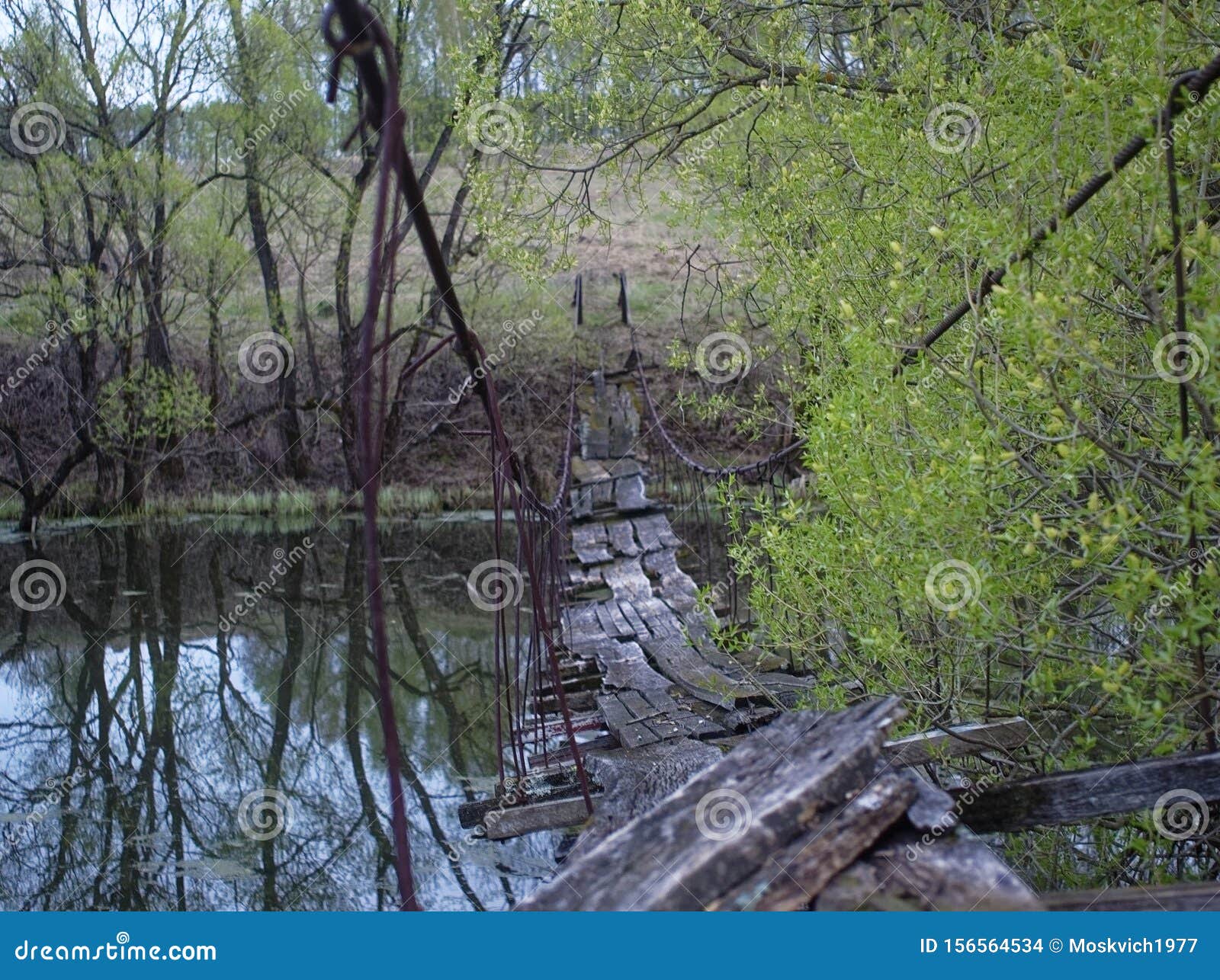 Broken Suspension Bridge on Spring Evening Stock Photo - Image of blue ...